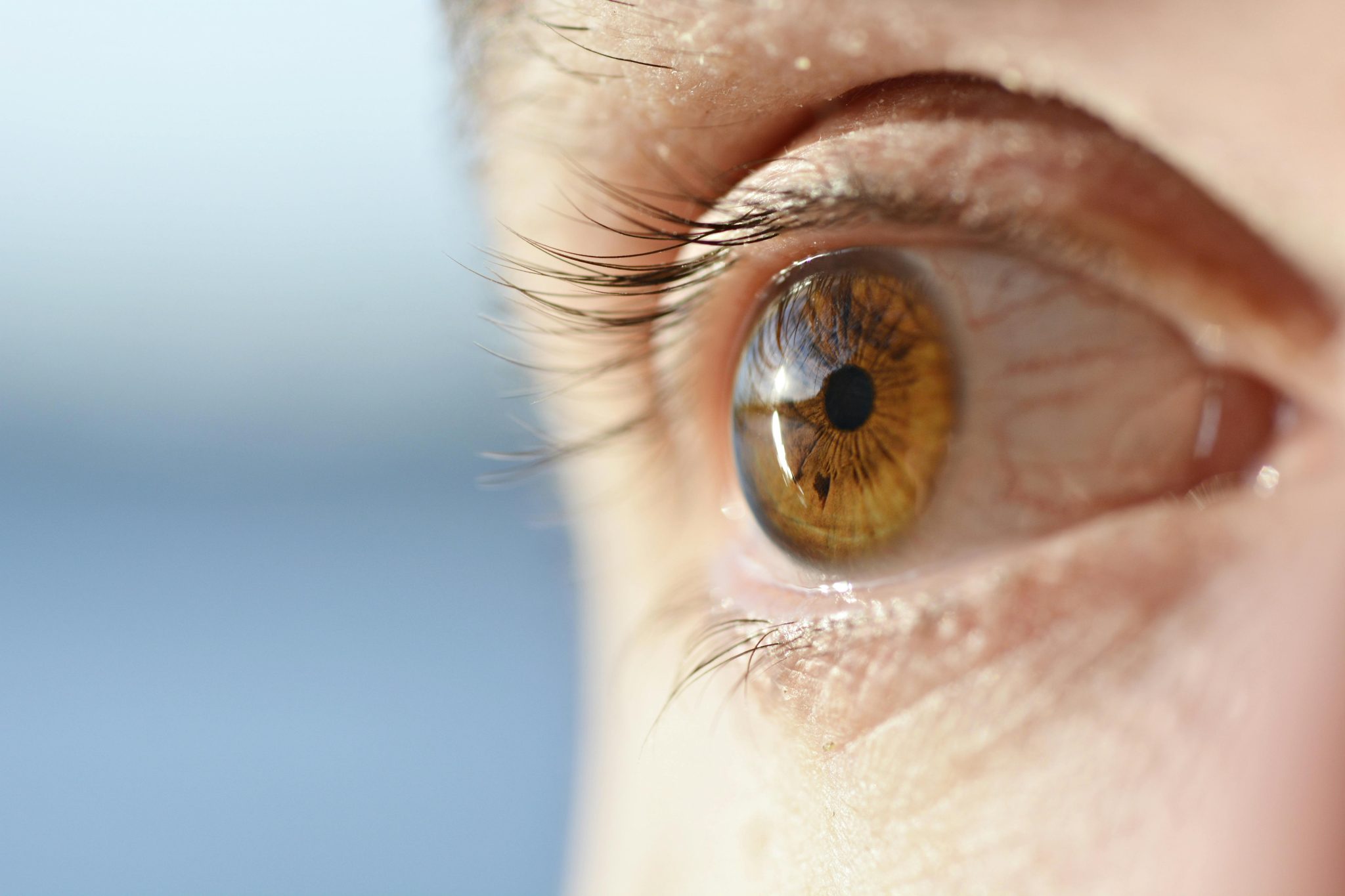 4 Causes of Blurry Vision You Need to Know – Trendy GH